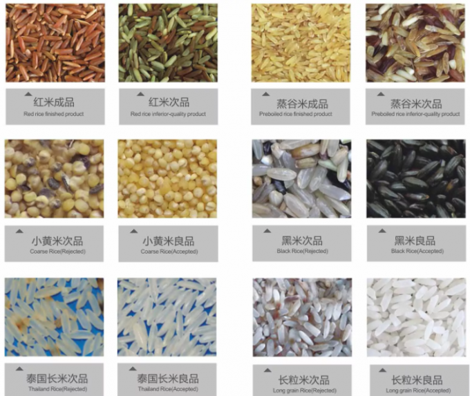 Multi-Purpose Rice Sorting Machine Top Sorting Accuracy