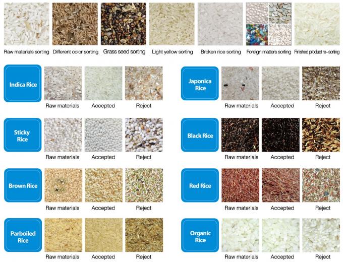12 Chutes Rice Color Sorter With High Capacity And Remote Control System